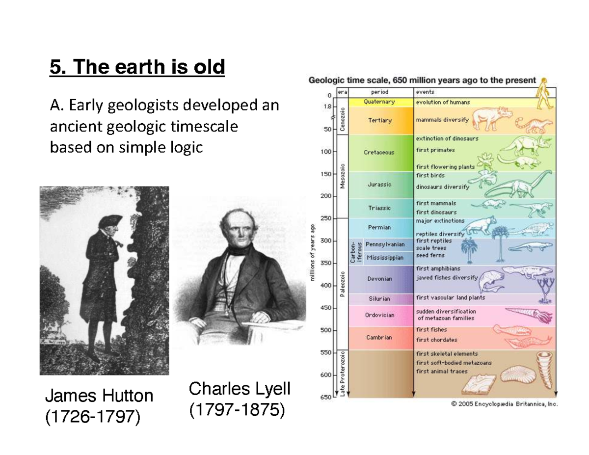 Phylogenetic Analysis: Evolutionary Relationships in Biology (BIO 101 ...