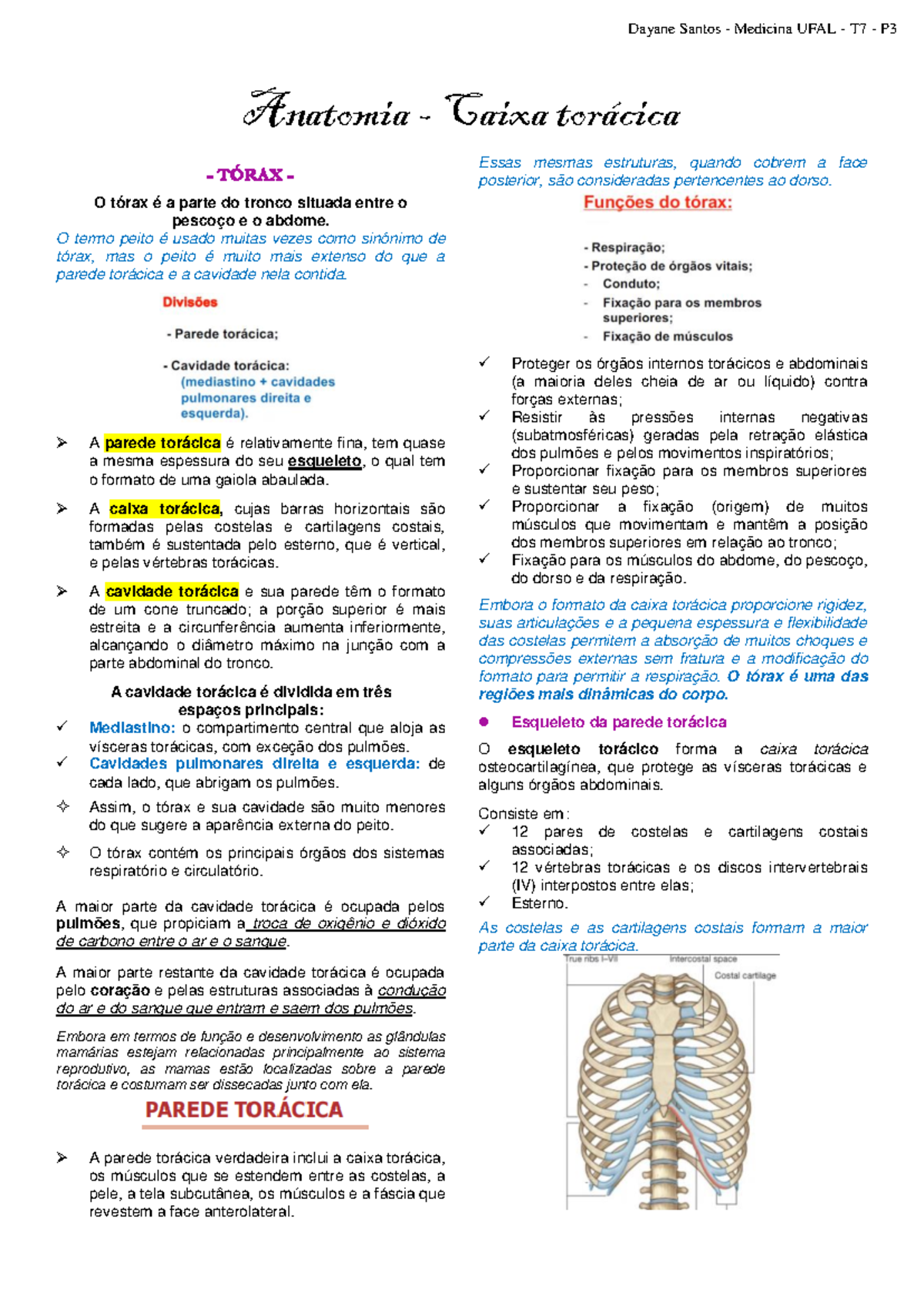 Anatomia do Tórax: Estruturas e Funções da Caixa Torácica - Studocu