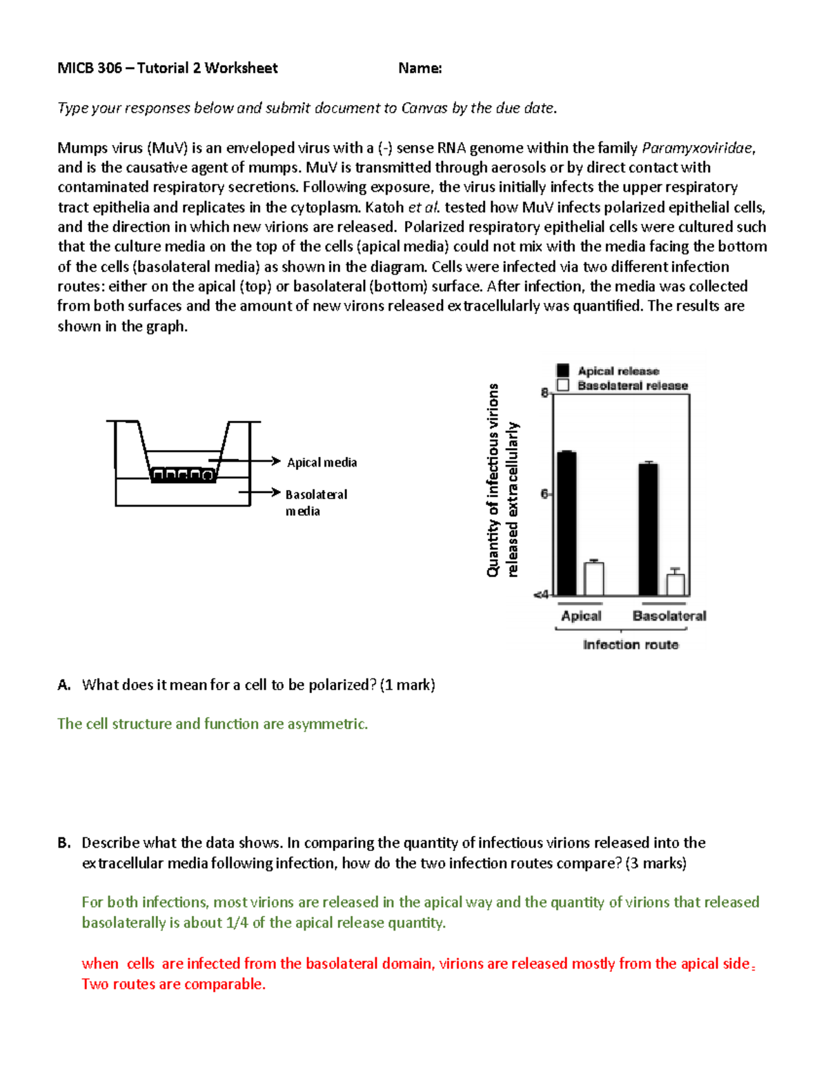 MICB 306 - Tutorial 2 Worksheet on Mumps Virus Infection Mechanisms ...