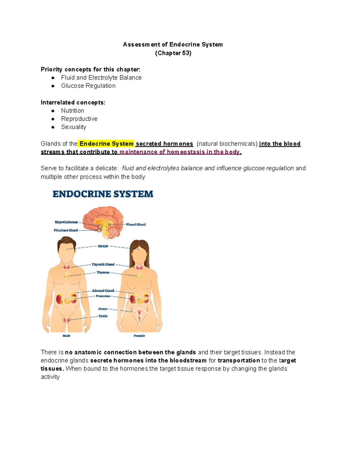 Endocrine System Assessment: Key Concepts & Hormonal Functions (MS Unit ...
