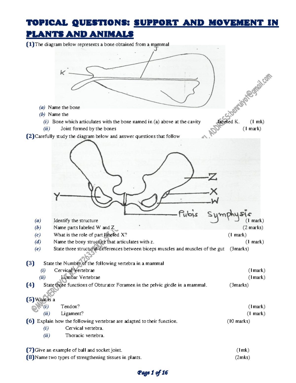 F4 - Chapter 4: Topical Questions on Support and Movement in Plants and ...