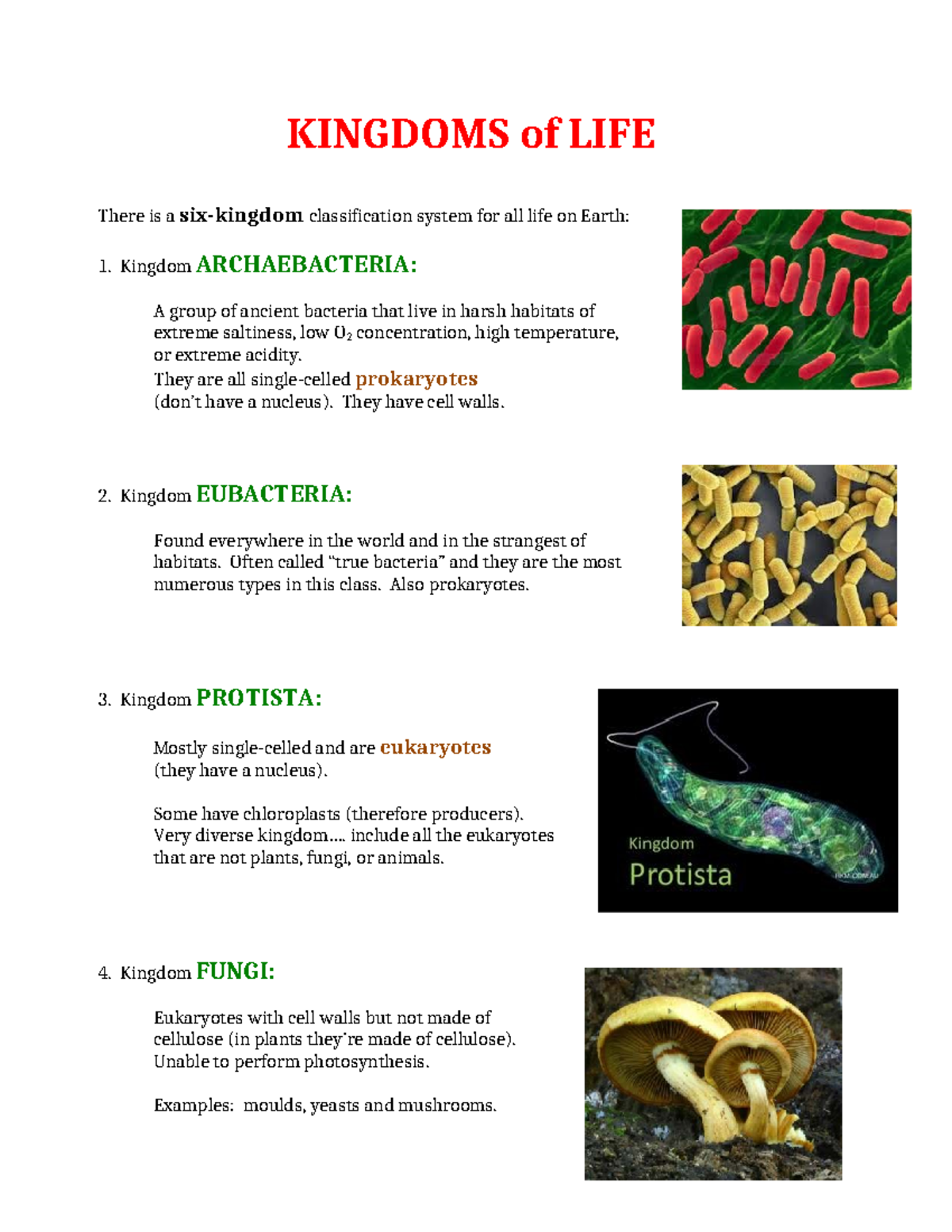 SBI3U Unit 1 Notes: Kingdoms of Life Overview - Studocu