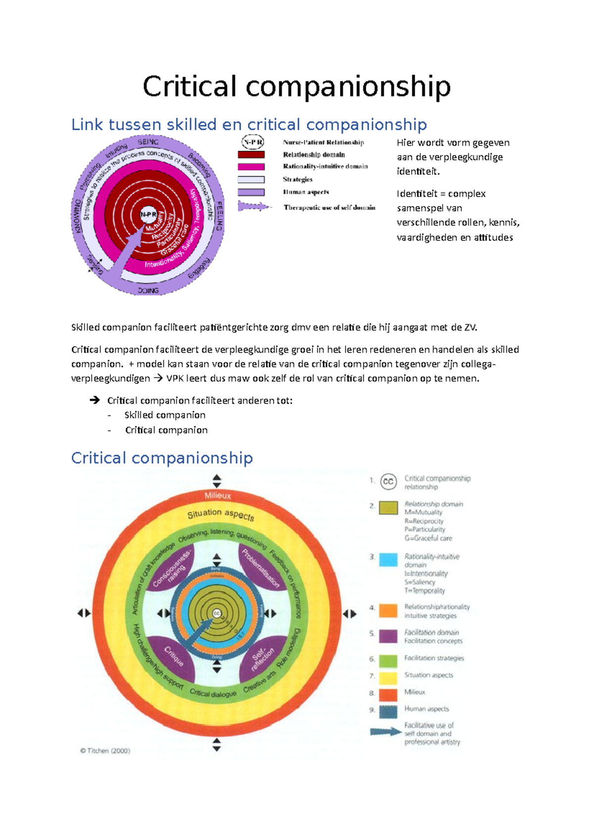 Critical Companionship in Nursing: Facilitating Professional Growth ...