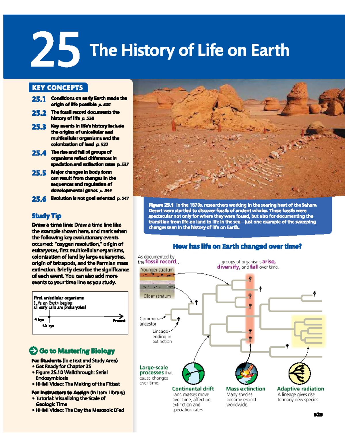 Chapter 25 - The History of Life on Earth - 25 The History of Life on ...