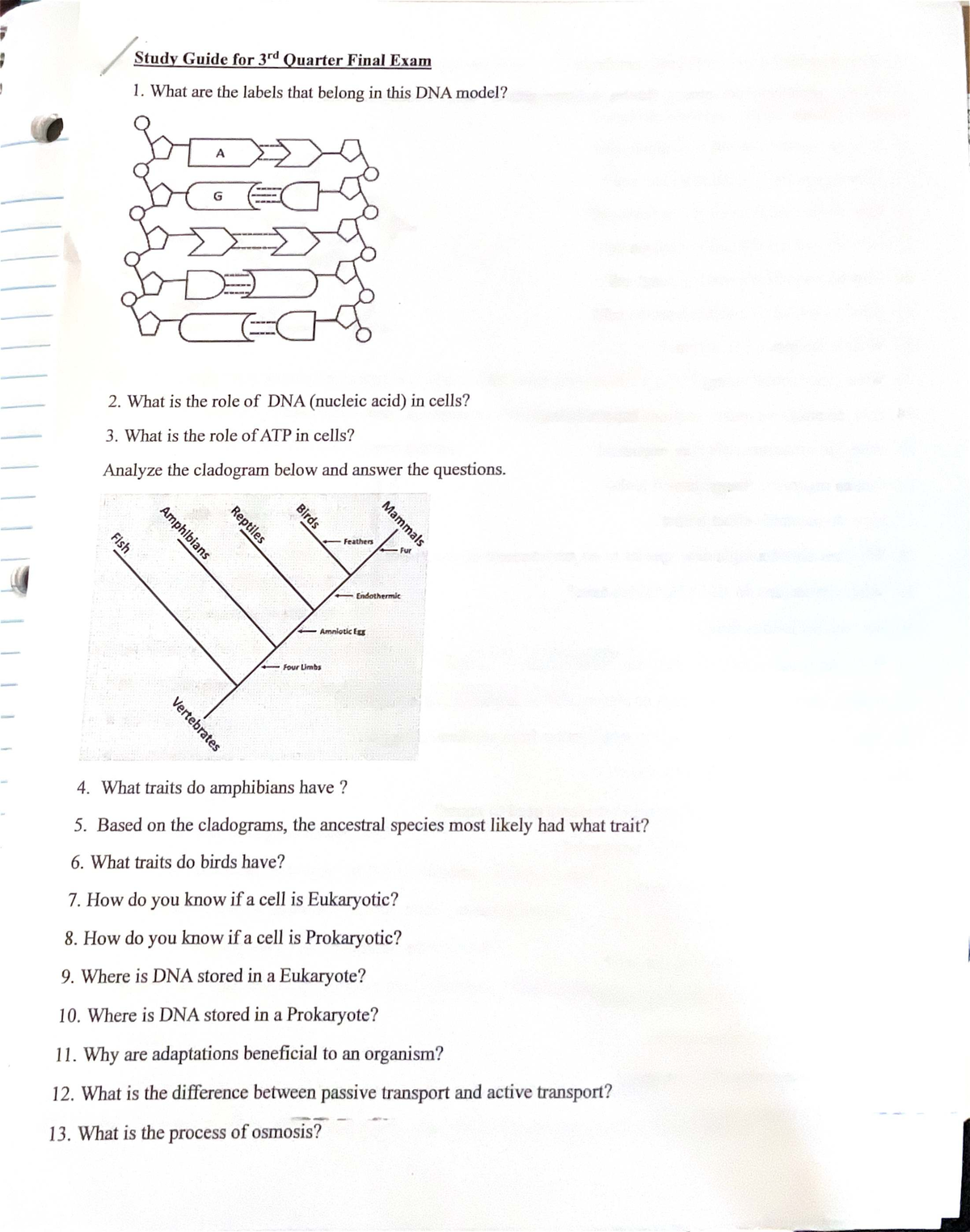 Comprehensive Study Guide for CS101: 3rd Quarter Final Exam - Studocu