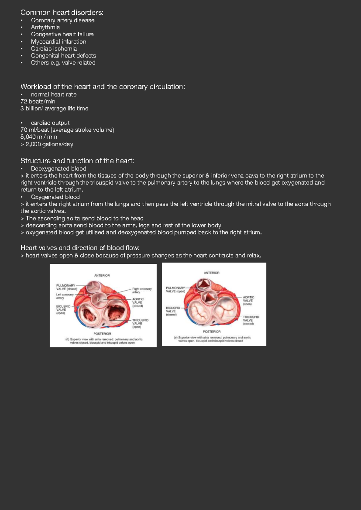 Heart Disorders and Circulation: Overview of Cardiac Function and ...