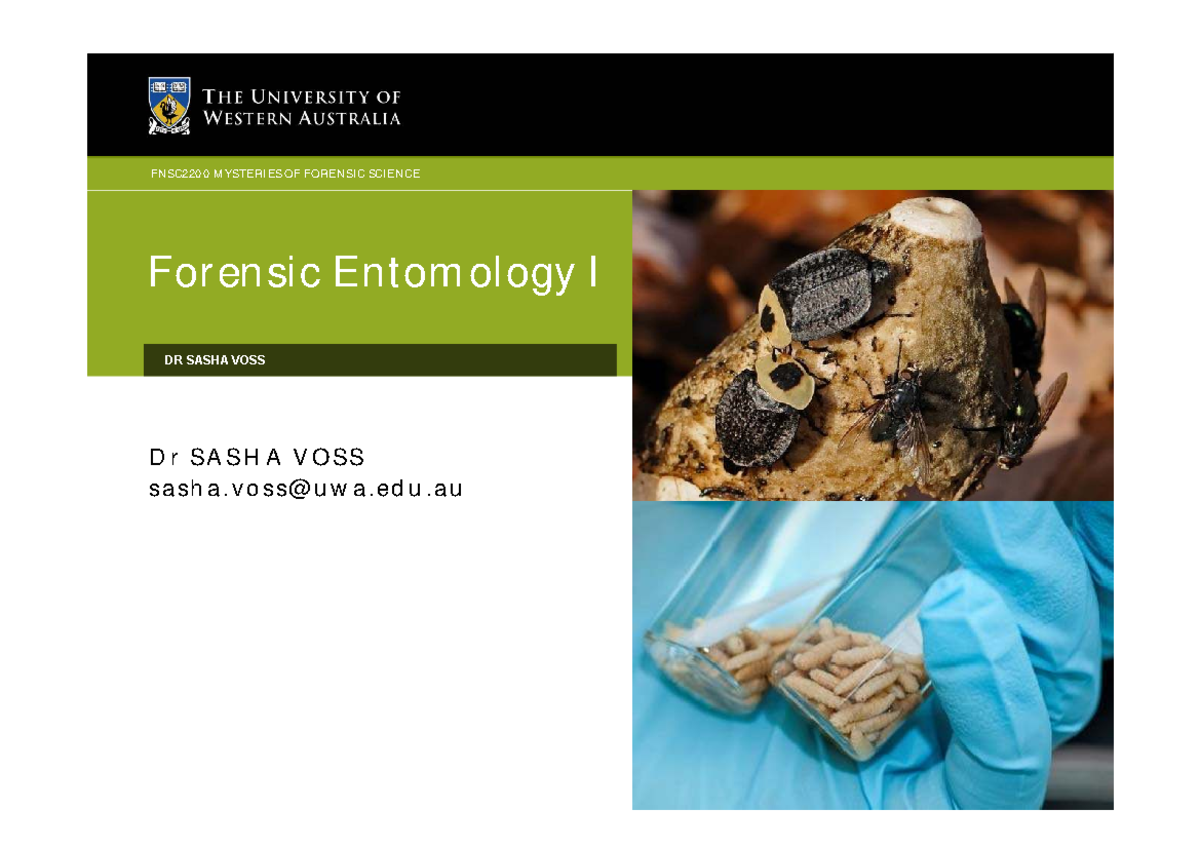 FNSC2200 Forensic Entomology I: Understanding Insect Evidence - Studocu