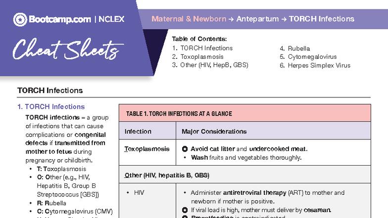 Maternal Newborn Antepartum TORCH Infections Cheat Sheet - Studocu