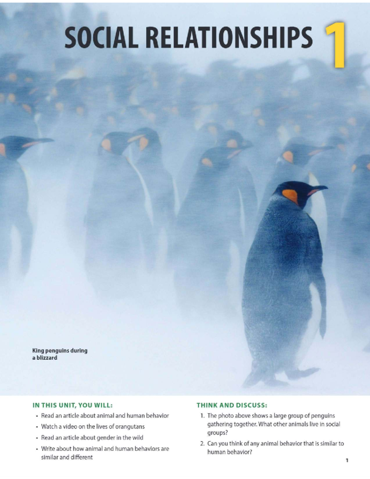 SOCIAL RELATIONSHIPS 1: Understanding Animal and Human Behaviors - Studocu