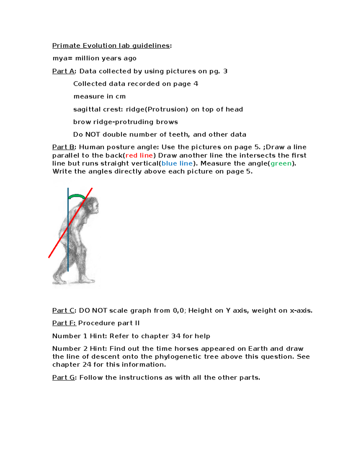 Primate Evolution lab guidelins-4 - Primate Evolution lab guidelines ...