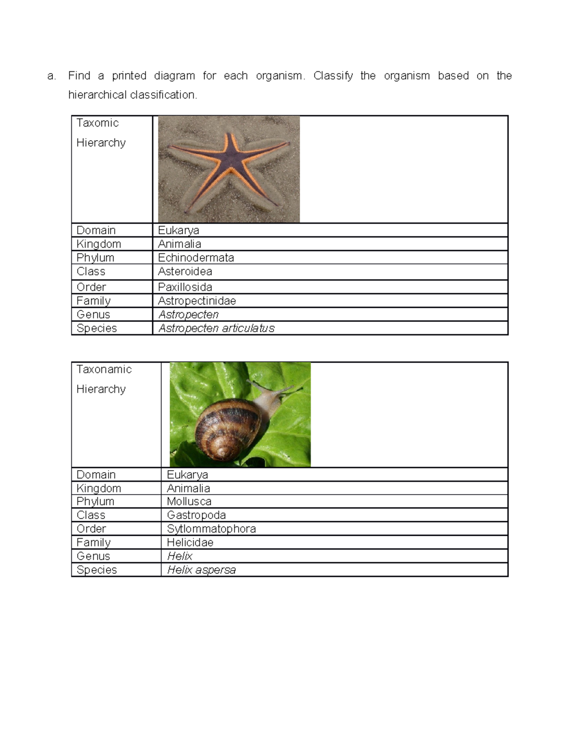 Assignment 1 SB025 - Biology - Studocu