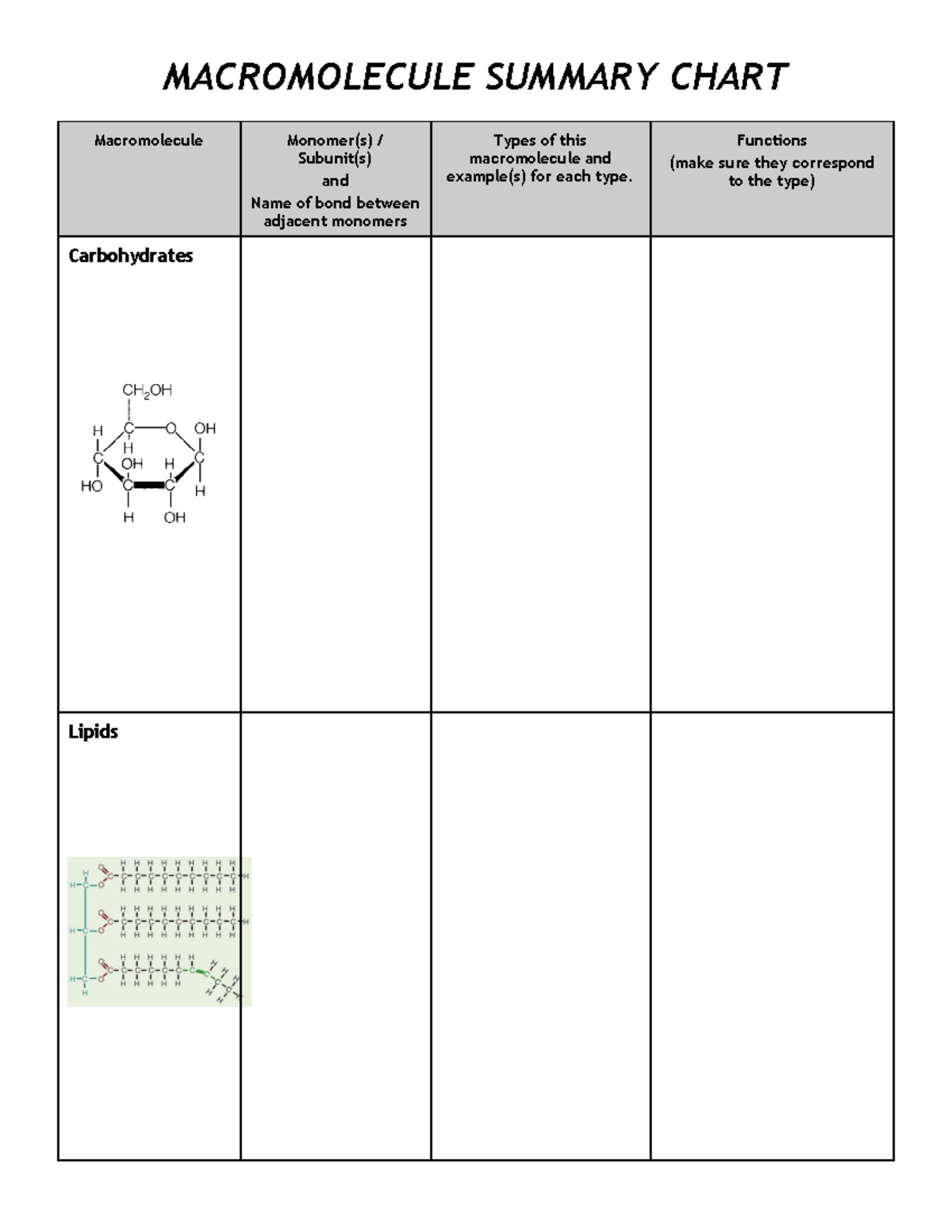 Macromolecule Summary Chart - Student version (blank table ...