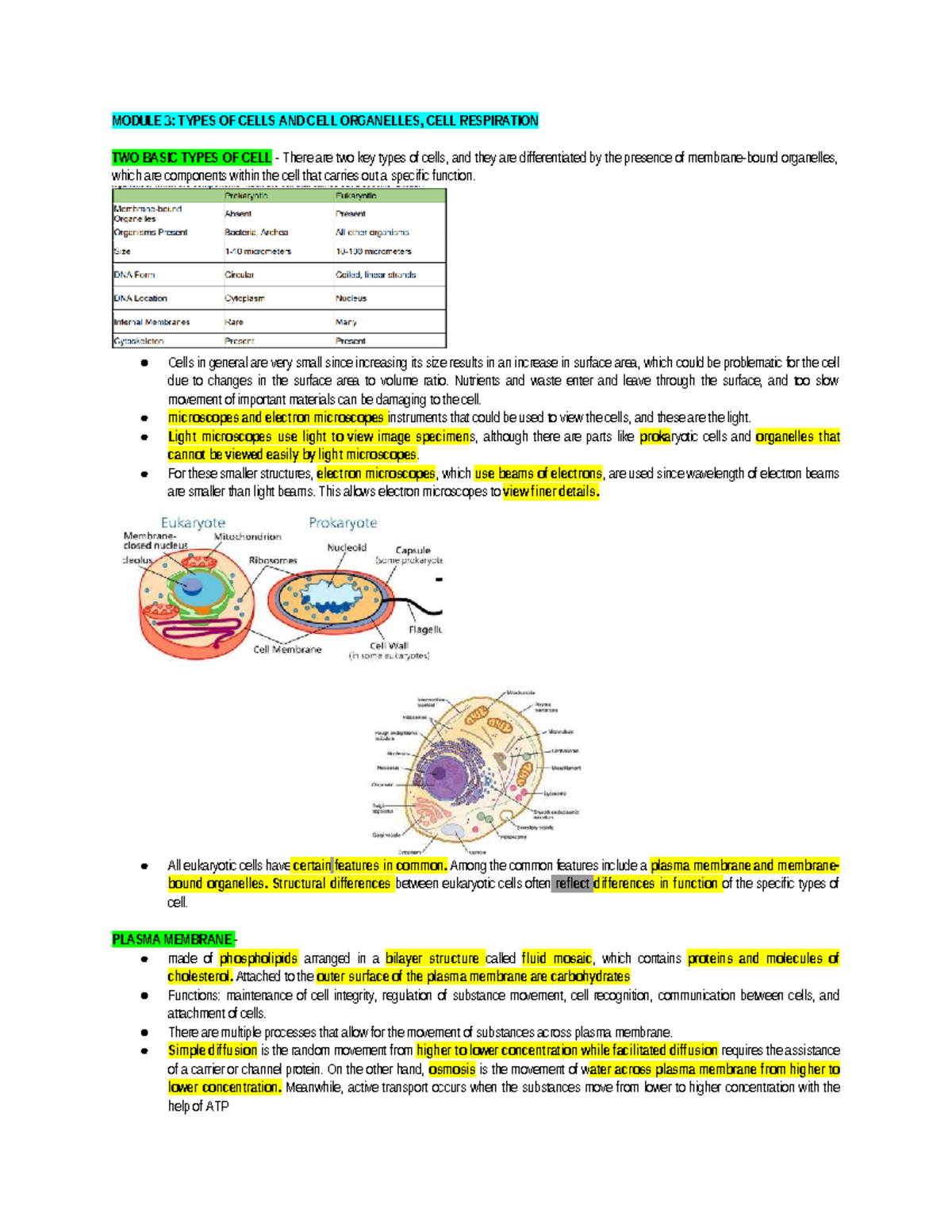 HMBY Module 3: Cell Types, Organelles, and Cellular Respiration - Studocu