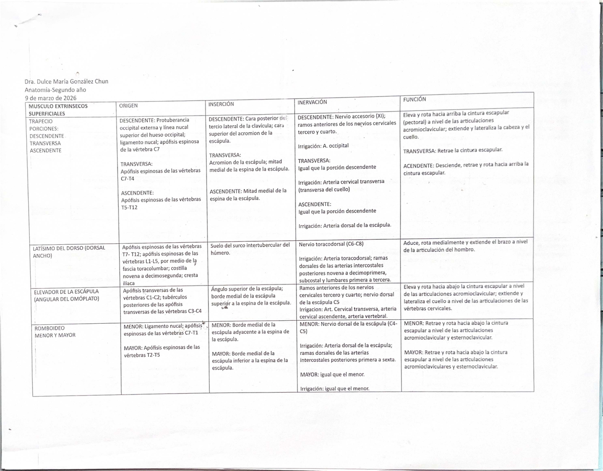 Notas de Clase: Inervación y Función de los Músculos Extrínsecos (Año ...