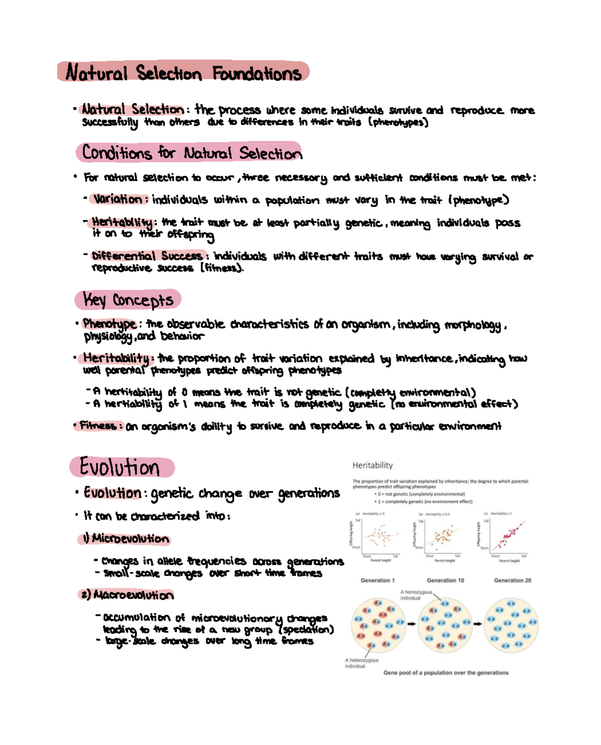 Natural Selection and Evolution: Key Concepts (BIOL 101) - Studocu
