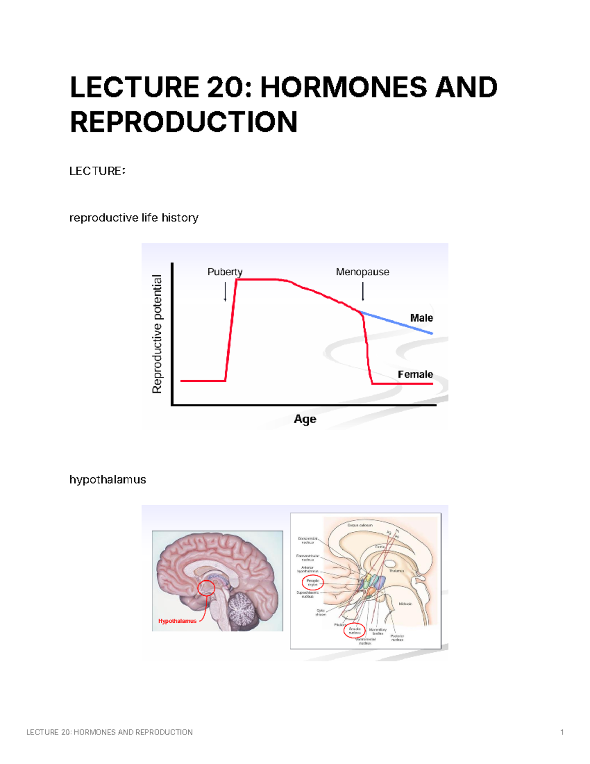 Lecture 20 Hormones AND Reproduction - LECTURE 20: HORMONES AND ...