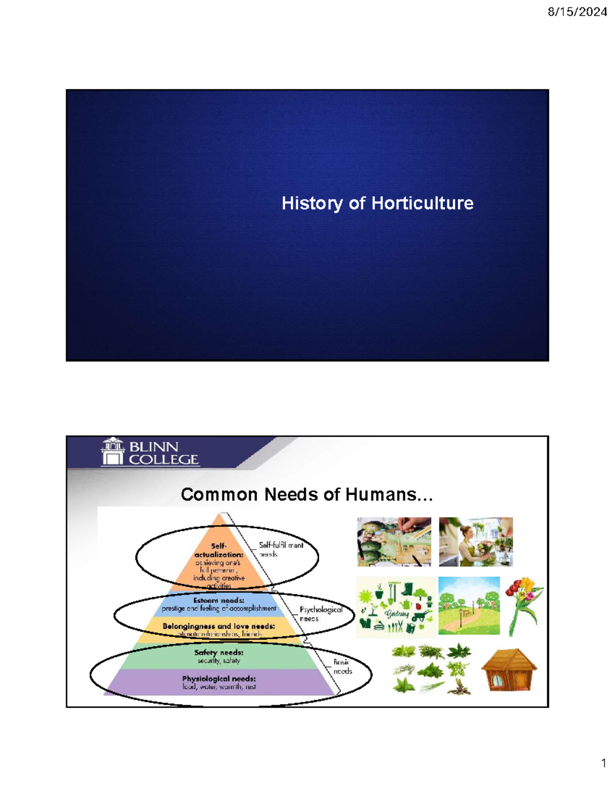 Genetic Changes and History of Horticulture (HORT 101) - Studocu