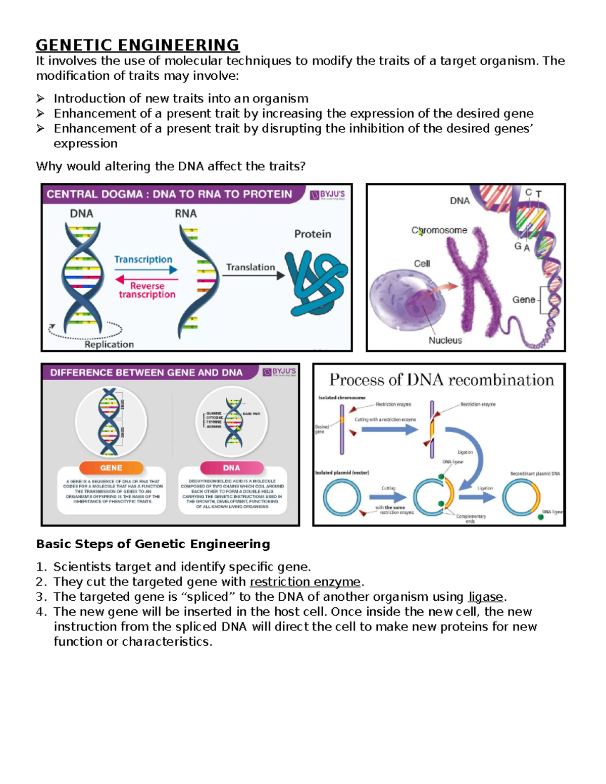 General Biology - Q3 Lesson 1: Understanding Genetic Engineering - Studocu