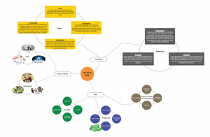 MGT 200 Smart Goals - MGT 200 SMART Goals Jamie Henzler SMART Aspect ...