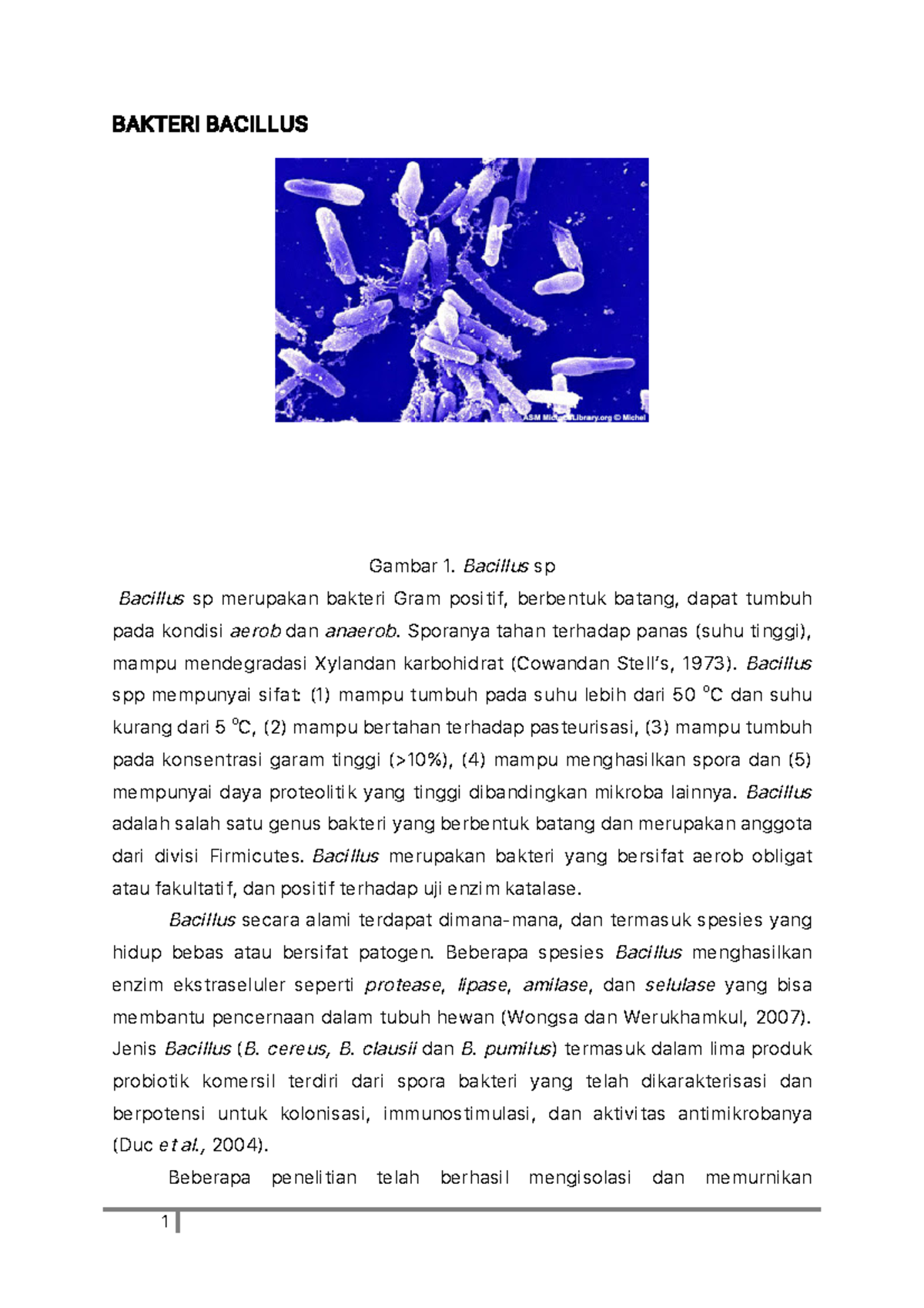 Jenis Bakteri Bacillus: Karakteristik dan Potensi Antimikroba - Studocu