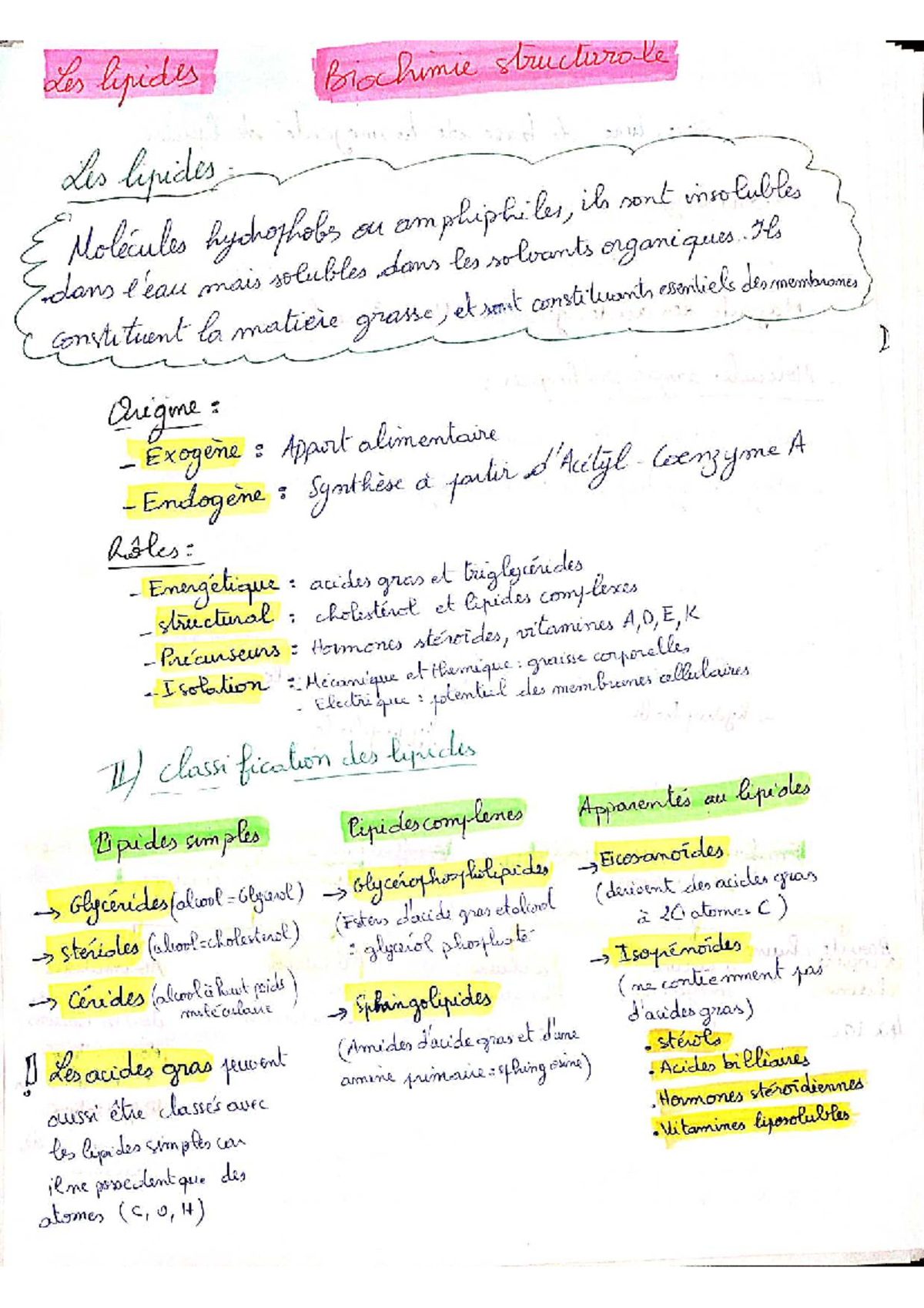 Étude des Lipides en Biochimie: Structure et Classification - Studocu