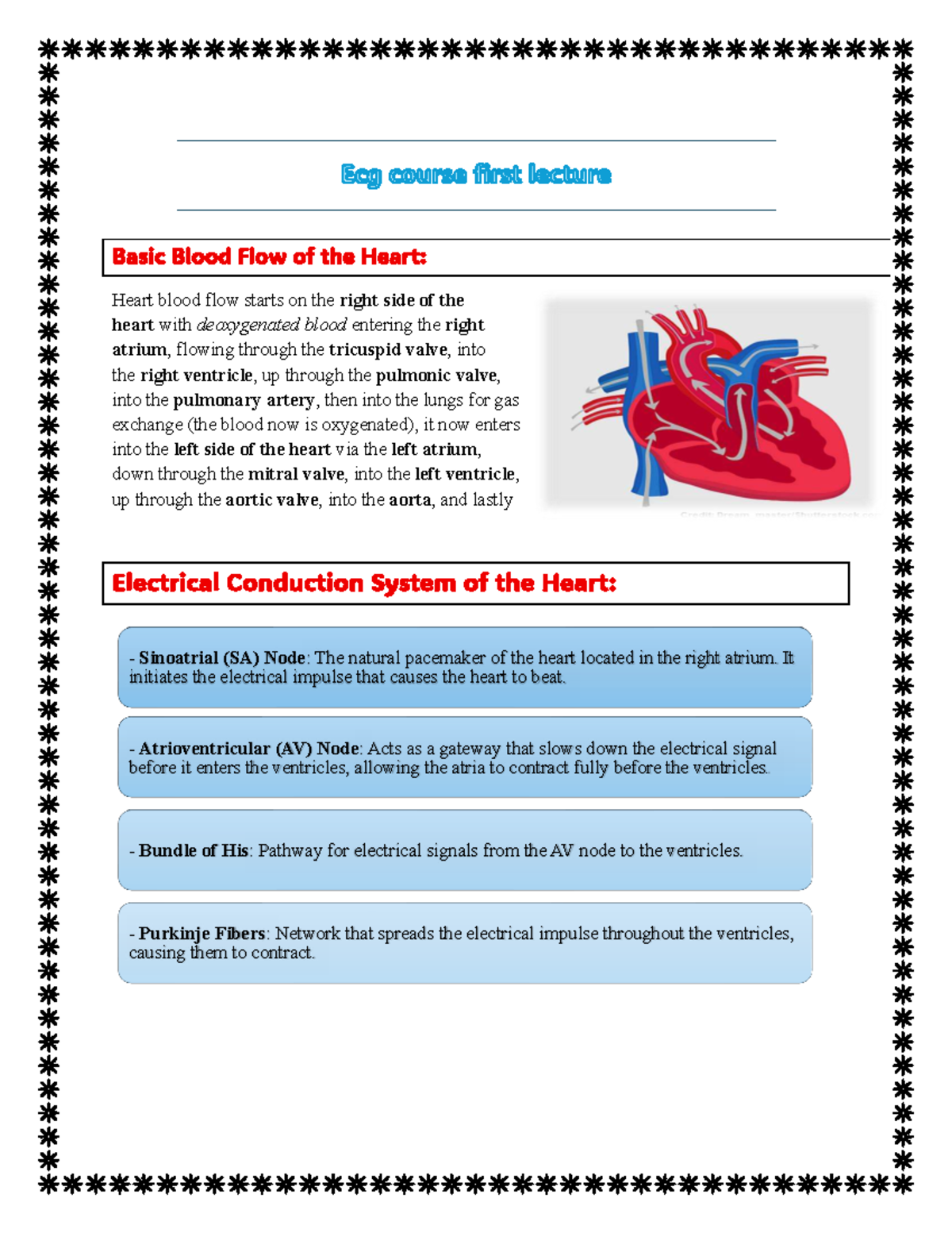 ECG 1 - Basic Heart Blood Flow & Electrical Conduction System - Studocu