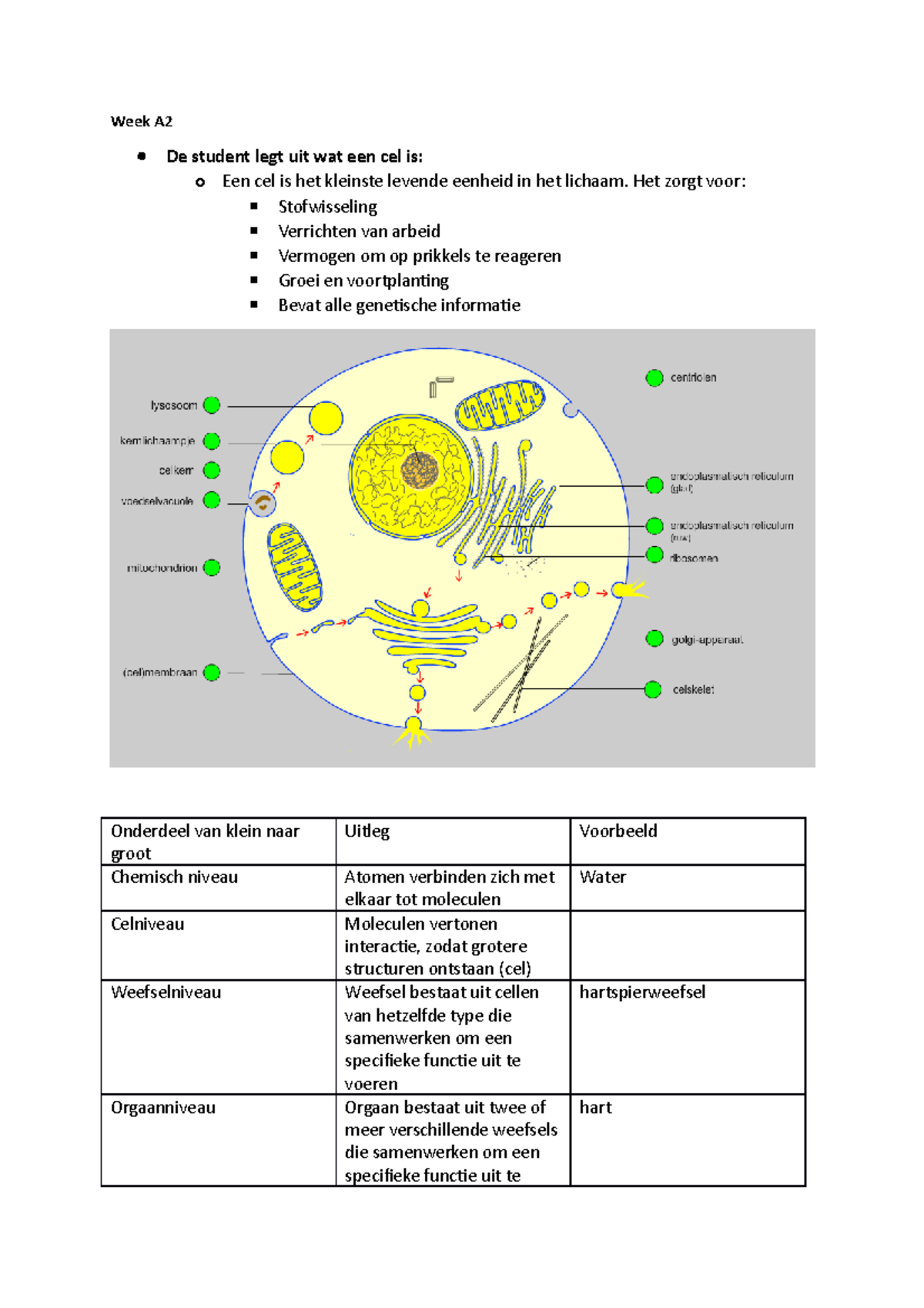 Fysiologie Thema 1.3: Celstructuur en Bloedstollingsprocessen ...