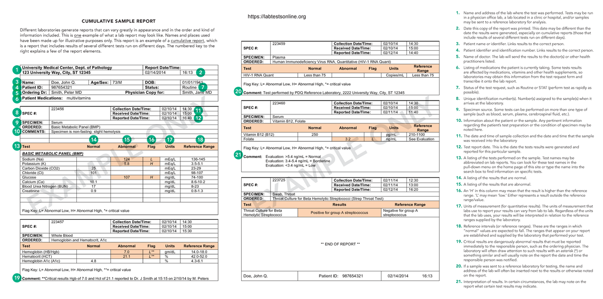 Cumulative sample report with notes 2017 - Sample Report Different ...