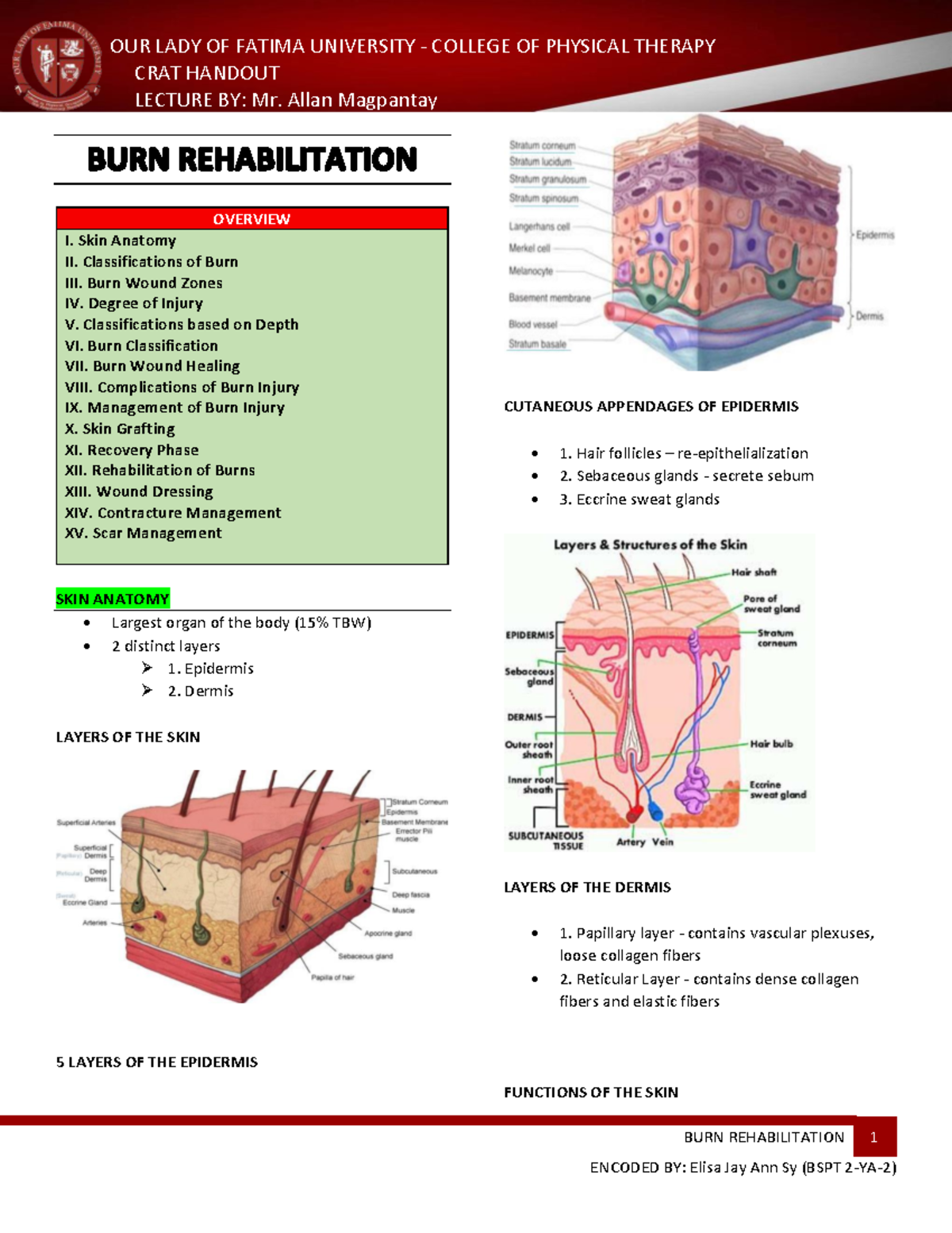 CRAT1 BURN REHABILITATION HANDOUT: Comprehensive Overview - Studocu