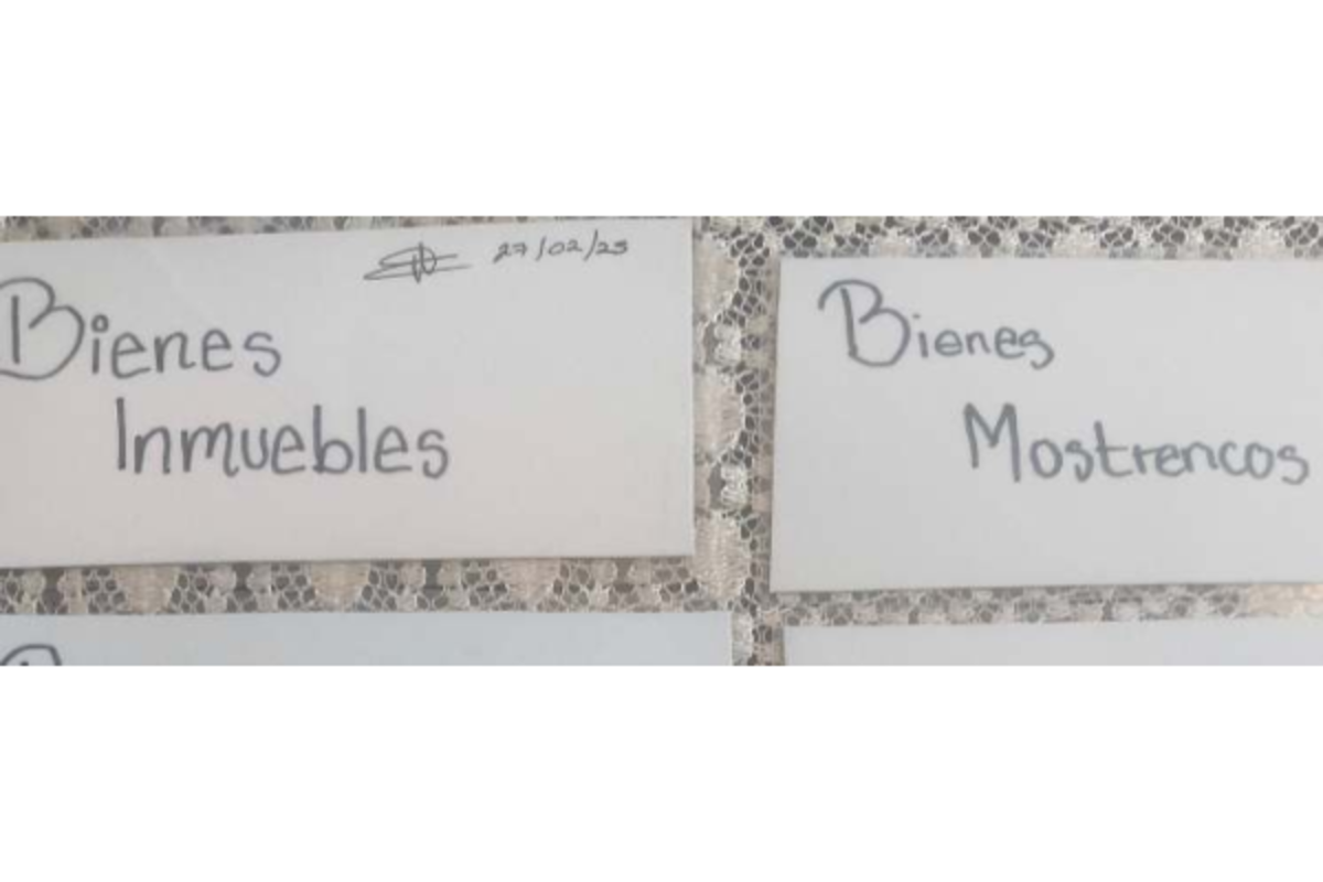 Tipos de bienes - Bienes Bienes Inmuebles Mostrencos THE analence Fishe ...
