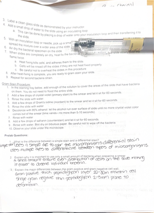 Calcium - Notes - Chapter 3 Electron Arrangements and the OCTET Rule ...