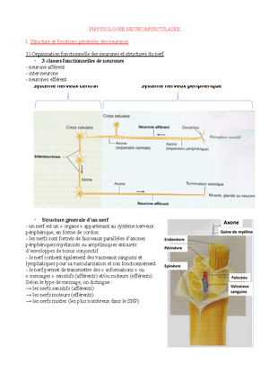CPA - Cours Immuno - Les Cellules Présentatrices d’Antigène (CPA ...