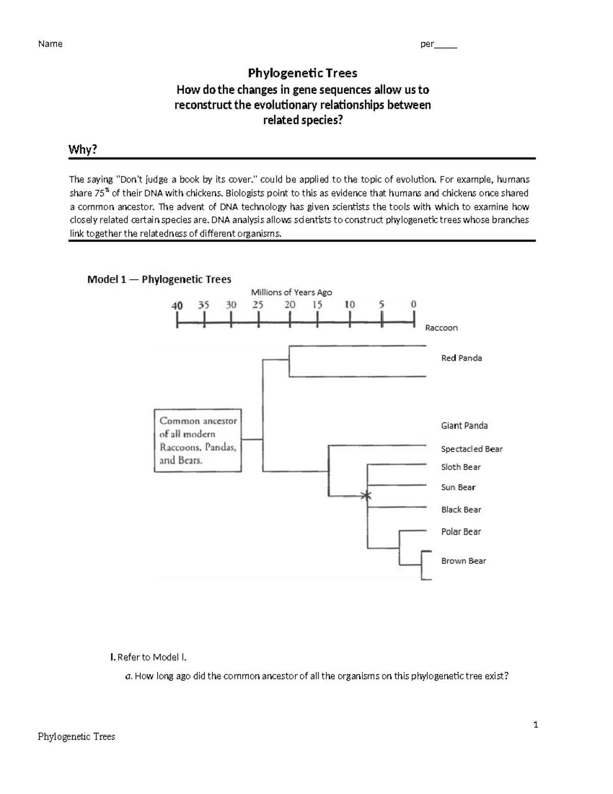 Pogil Phylogenetic Trees OLA - Name per Phylogenetic Trees How do the ...