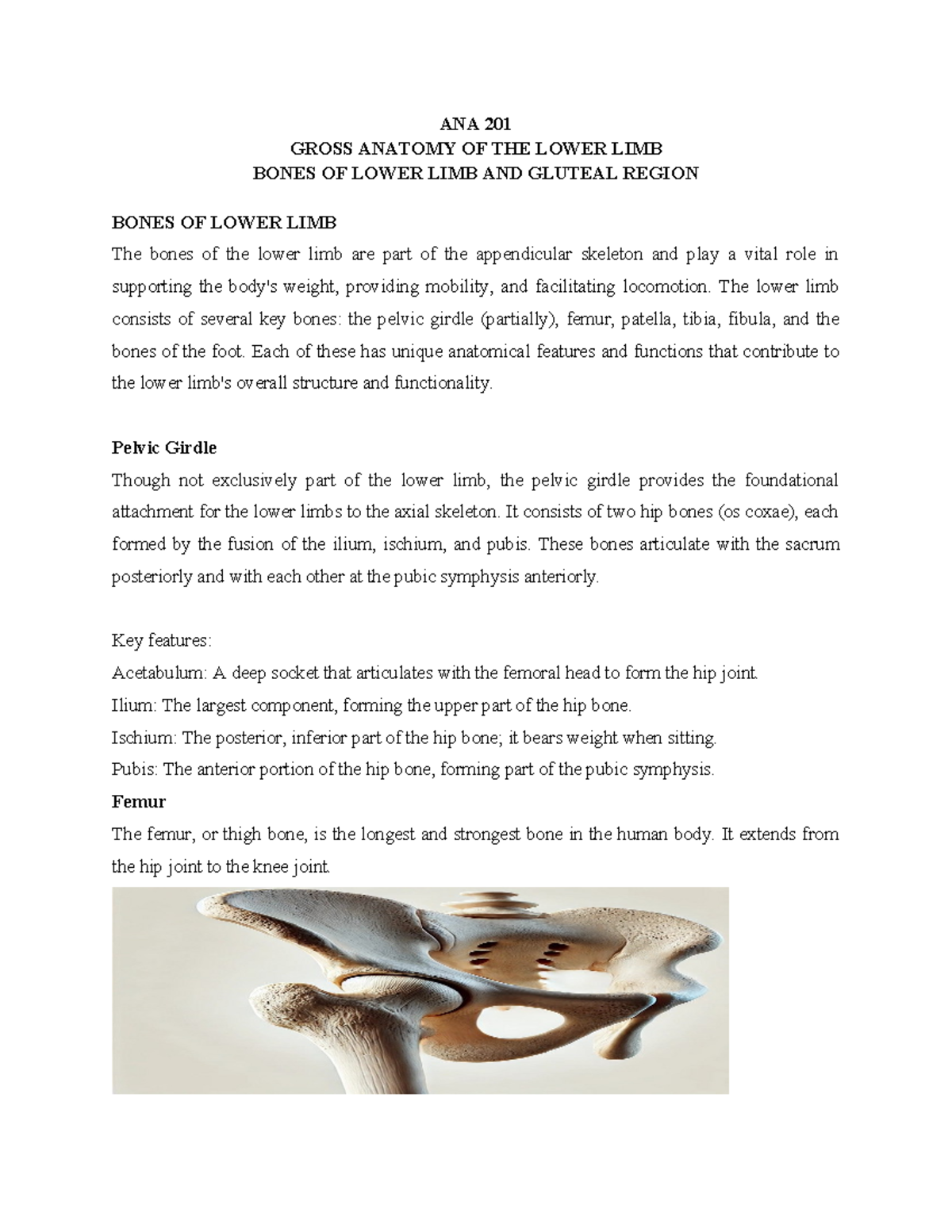 ANA 201 GROSS ANATOMY OF LOWER LIMB AND GLUTEAL REGION BONES - Studocu