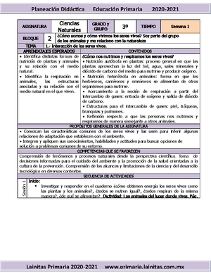 2° S18, 19 y 20 Cuadernillo de actividades (anexos) Profa. Kempis - ####### Ciclo escolar 2024 ...