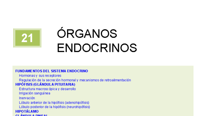 21 ÓRGANOS ENDOCRINOS: FUNDAMENTOS Y REGULACIÓN HORMONAL - Studocu