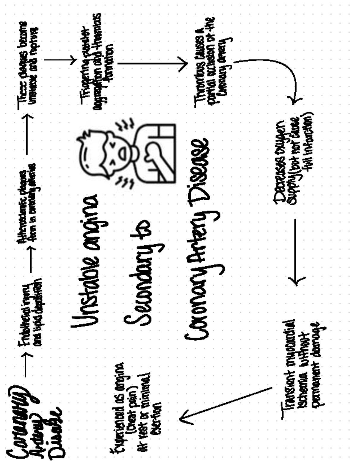 Coronary Endothelial Injury & Atherosclerotic Plaques: Week 3 Flowsheet ...