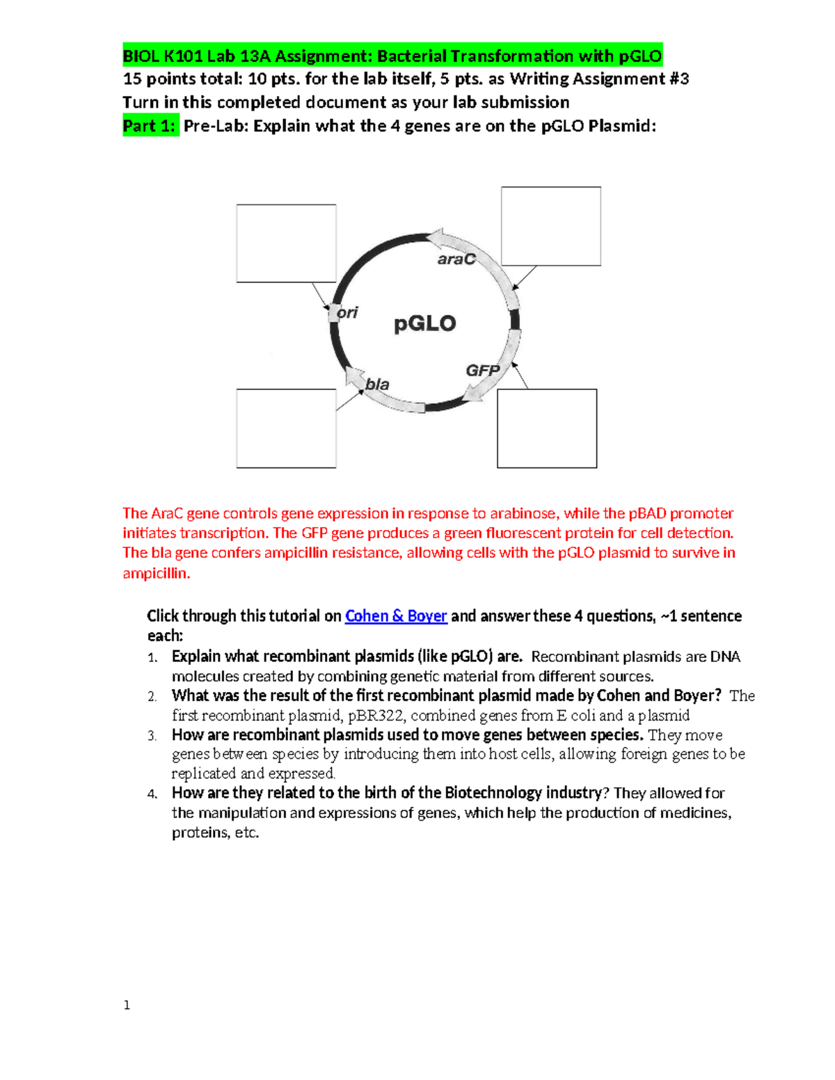 BIOL K101 Lab 13A: Bacterial Transformation with pGLO Reflection Assignment - Studocu