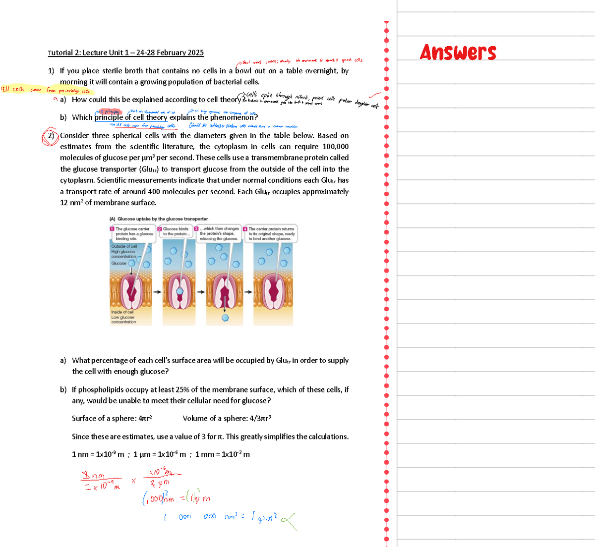 Unit 1: Lecture Notes on Cell Theory & Cellular Mechanisms - Studocu