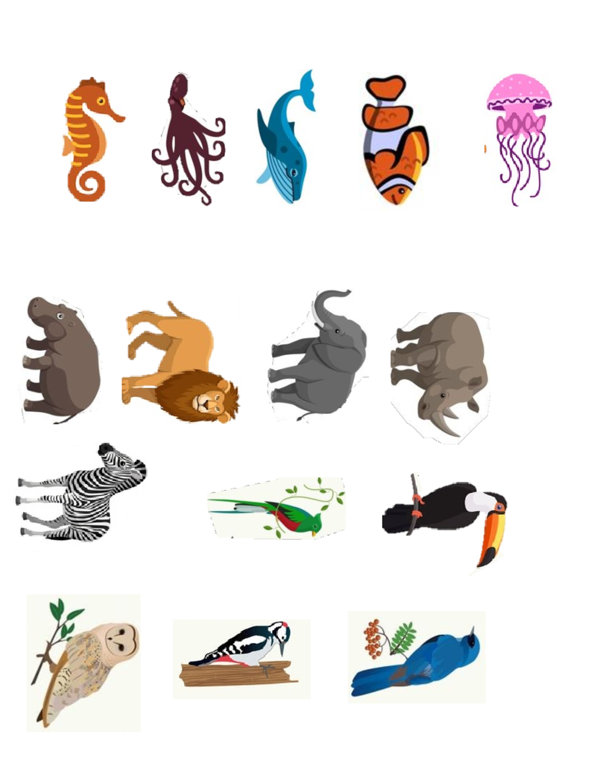 Animales - competencias digitales - Studocu