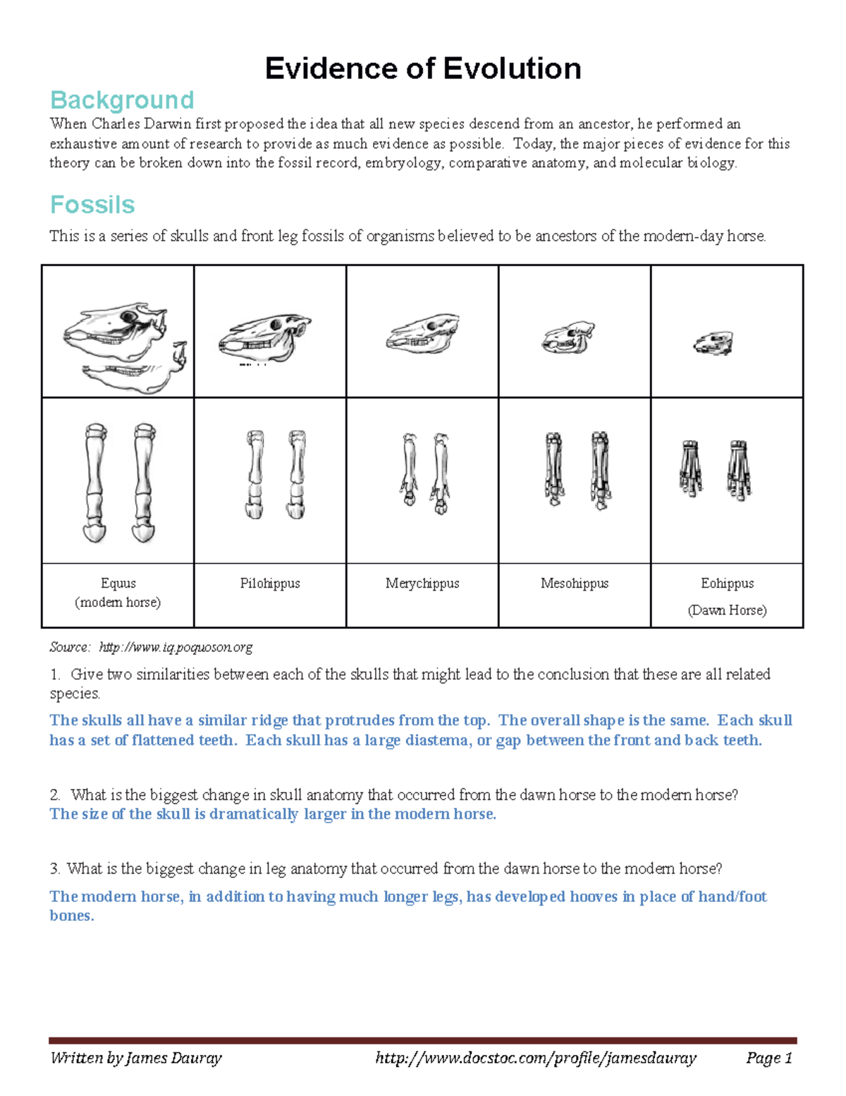 Evidence of Evolution Bests Answer Key you want to try! - Evidence of ...