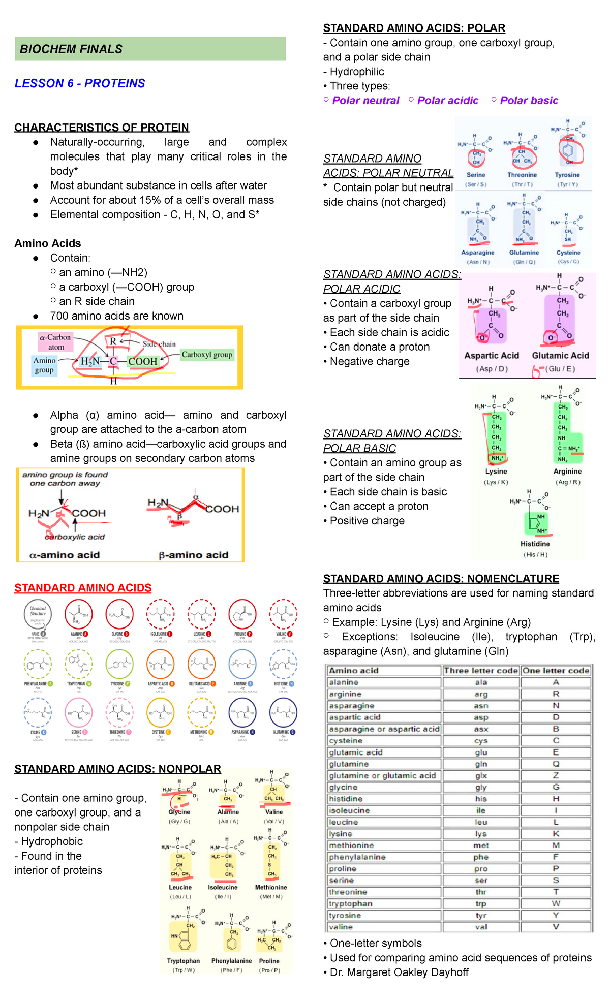 Cherry Biochem Finals - Study Guide - BIOCHEM FINALS LESSON 6 ...
