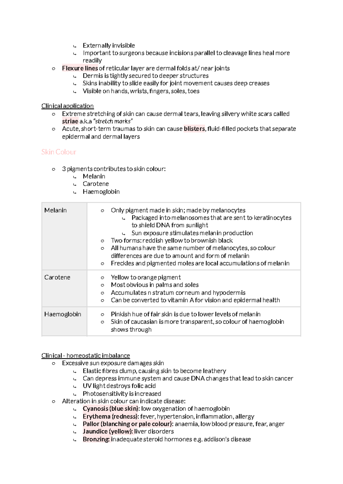 PBHM Semester Notes: Skin Structure, Functions, and Homeostasis - Studocu