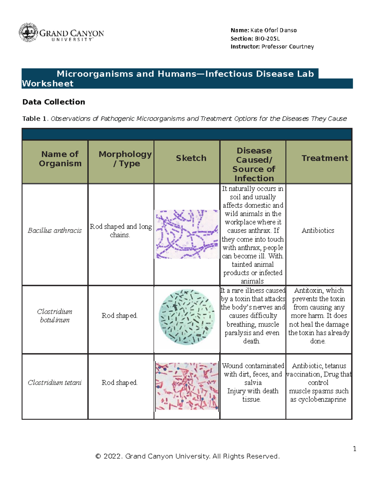 BIO-205L-RS-Worksheet on Microorganisms & Infectious Diseases - Studocu