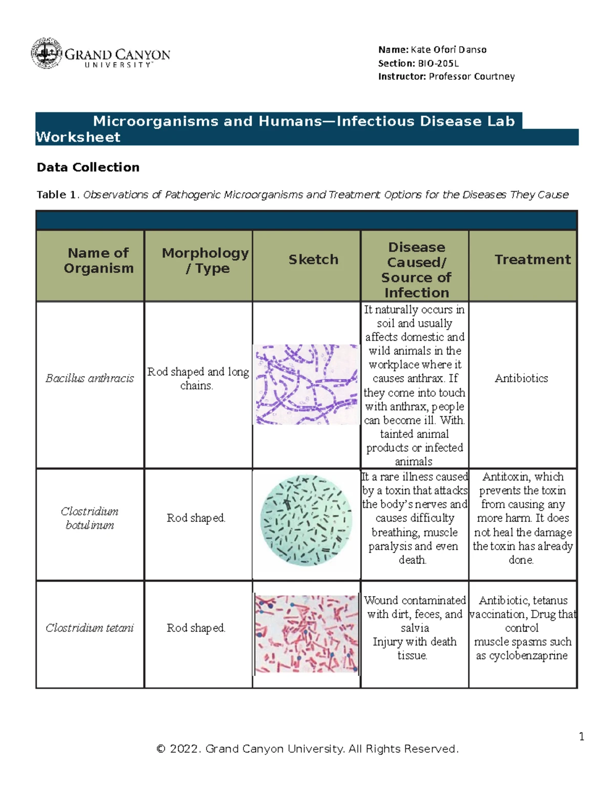 Microbiol 101: Infectious Disease Lab Worksheet and Data Collection ...