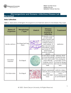 Lab report format guide - Microbiology Lab Report format To write a lab ...