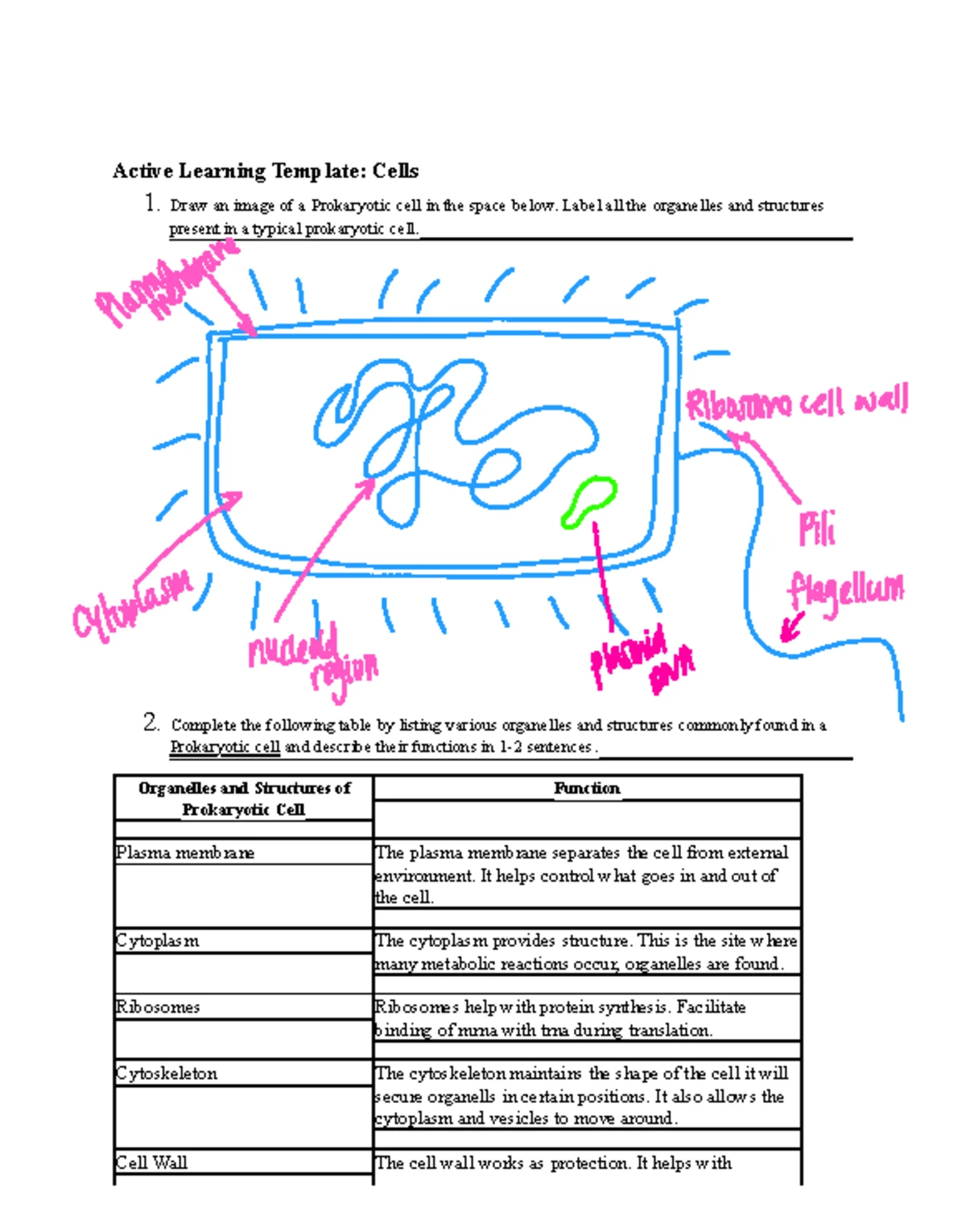 BIOS242 Week 2 Lab: Microscopy & Cell Observation Techniques - Studocu