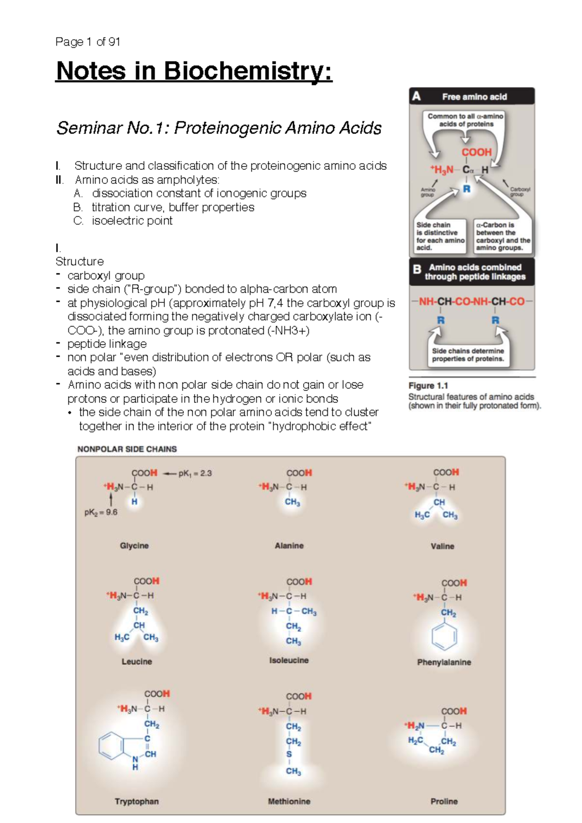 Biochemistry Seminar Notes: Amino Acids, Protein Structure & Function ...