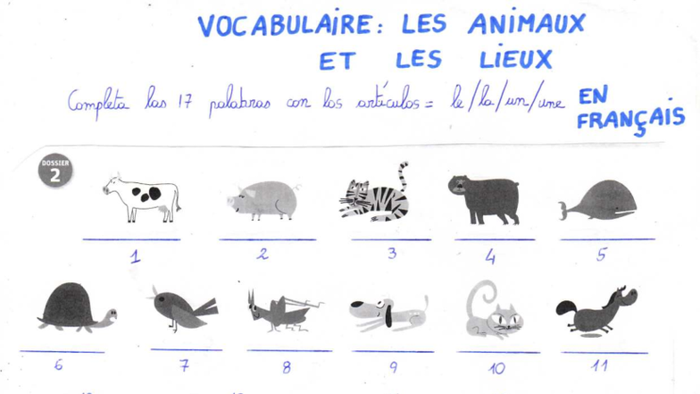 Vocabulaire: Les Animaux et Les Lieux - Dossier 2 - Studocu