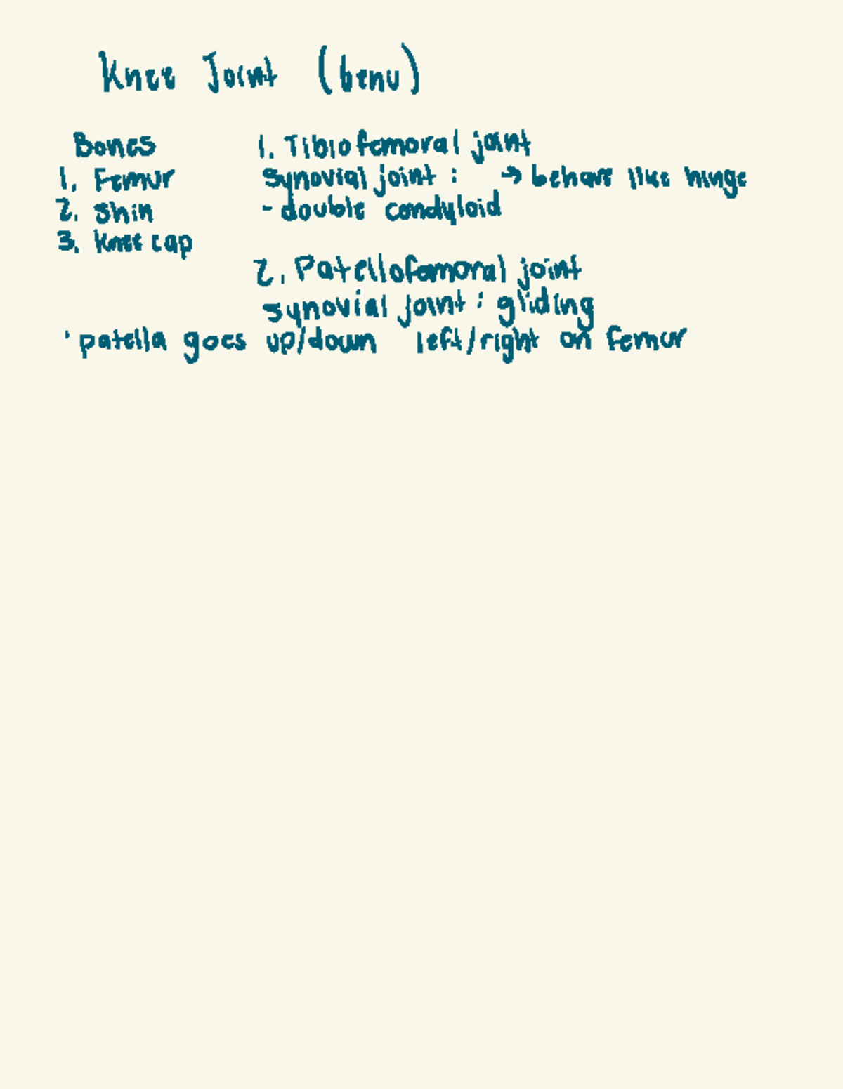 Knee Joint Movements & Abnormal Positions Analysis (KNE 101) - Studocu